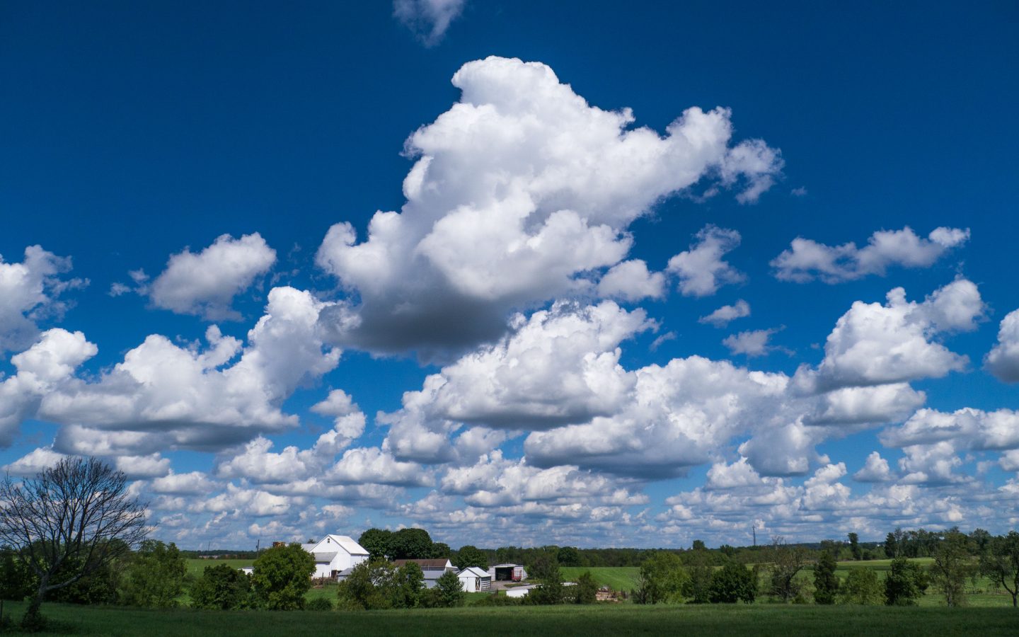 cropped-Cloud-Background.jpg – Jonathan Laird